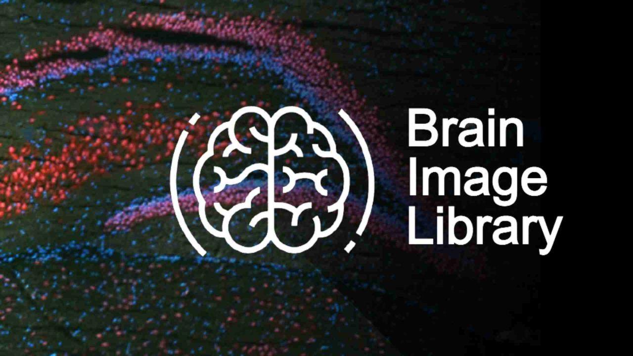 Collaborations | PSC