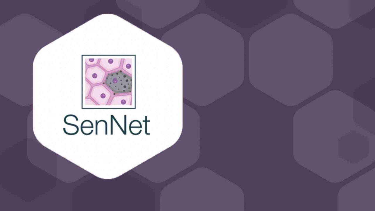 Biomedical Applications | PSC