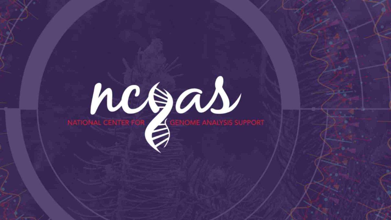 Collaborations | PSC