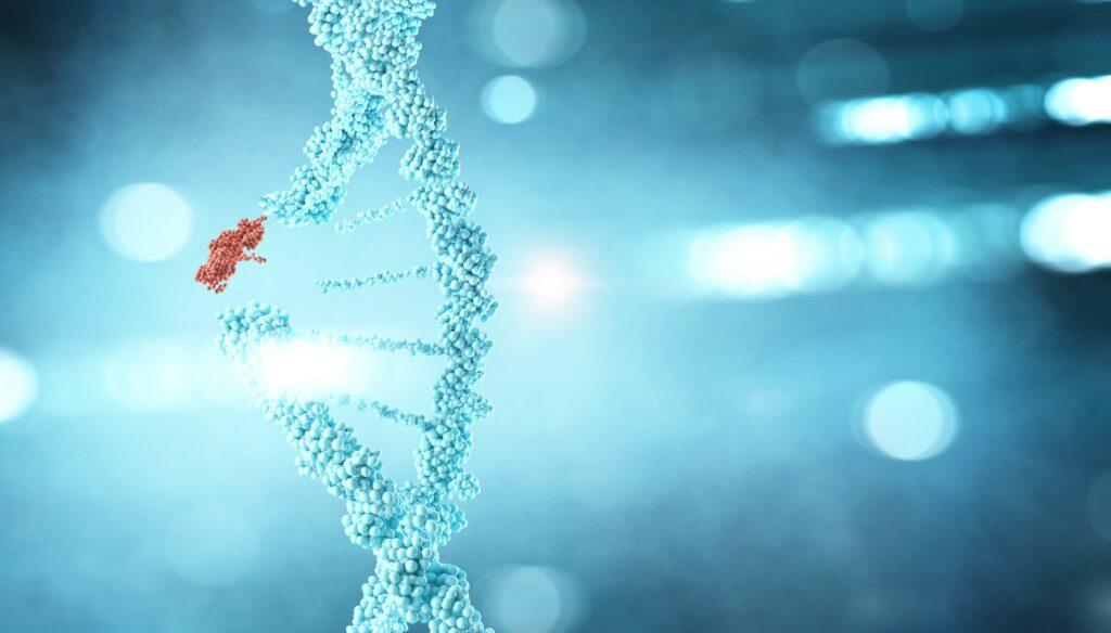 Large-Scale Evolution Simulations on PSC’s Neocortex Tackle Questions ...